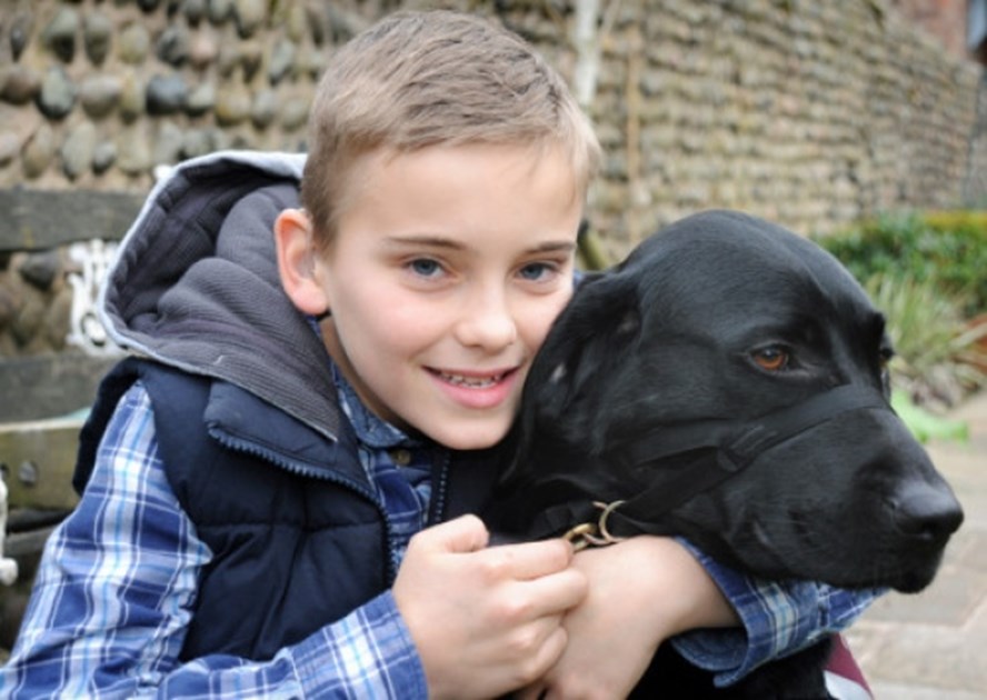 Dreams Can Come True Sponsored dog walk...in pyjamas is fundraising for ...