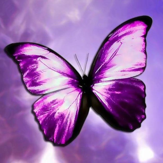 Helen Rees is fundraising for National Autistic Society