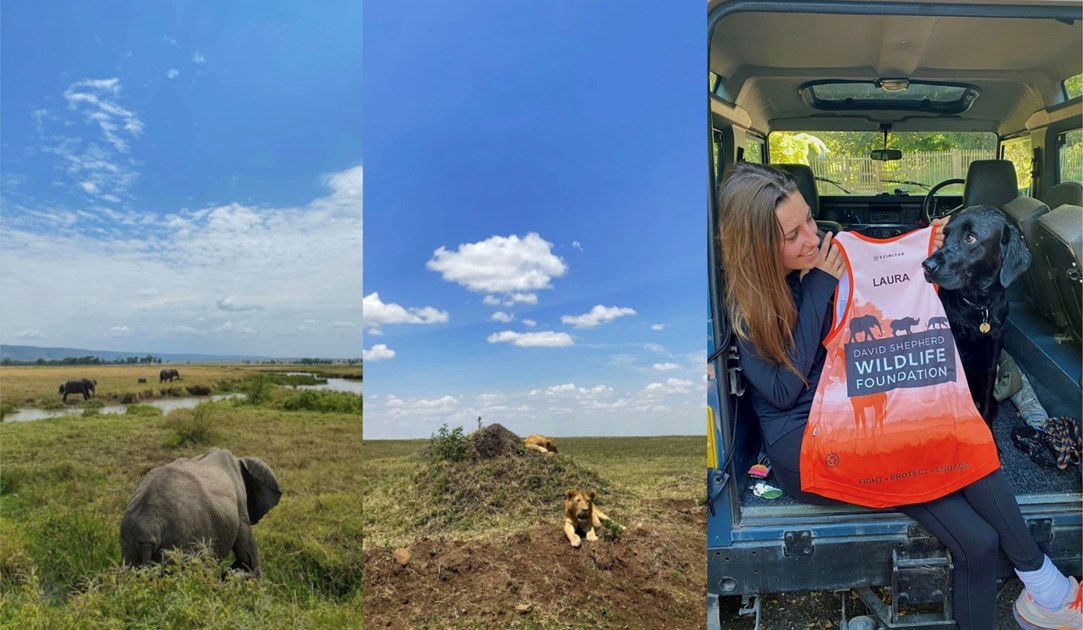Laura Pollard is fundraising for David Shepherd Wildlife Foundation