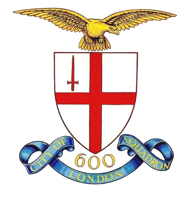 600SQN: RAF Reserves is fundraising for Macmillan Cancer Support