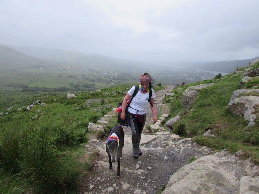 Laura Bulger is fundraising for Wolverhampton Greyhound Trust