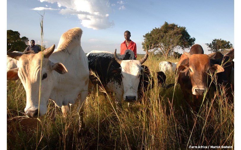 Merial Animal Health Ltd is fundraising for Farm Africa