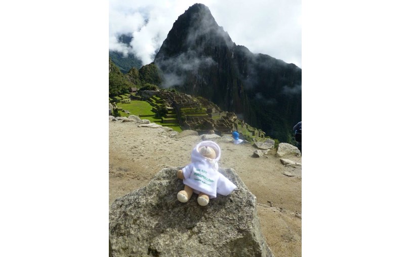 Zoe Roche is fundraising for Macmillan Cancer Support