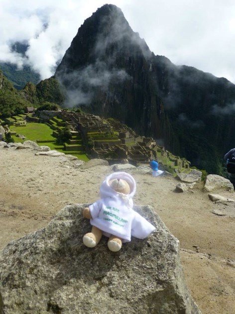 Zoe Roche is fundraising for Macmillan Cancer Support