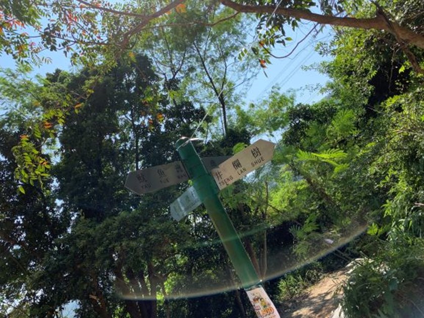 Irene Fung is fundraising for Standard Chartered Foundation