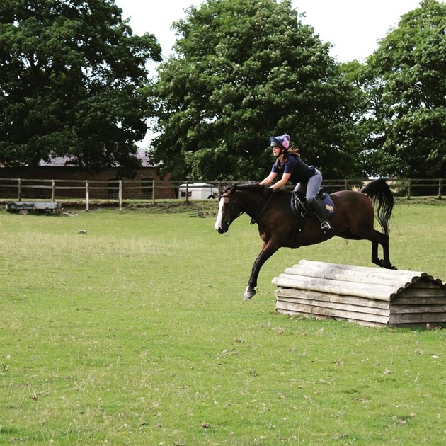 Imogen Baker is fundraising for Summerfield Stables - Horses in the ...