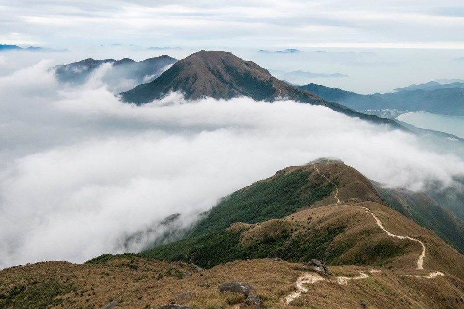 Jamie Hooper is fundraising for Alport UK