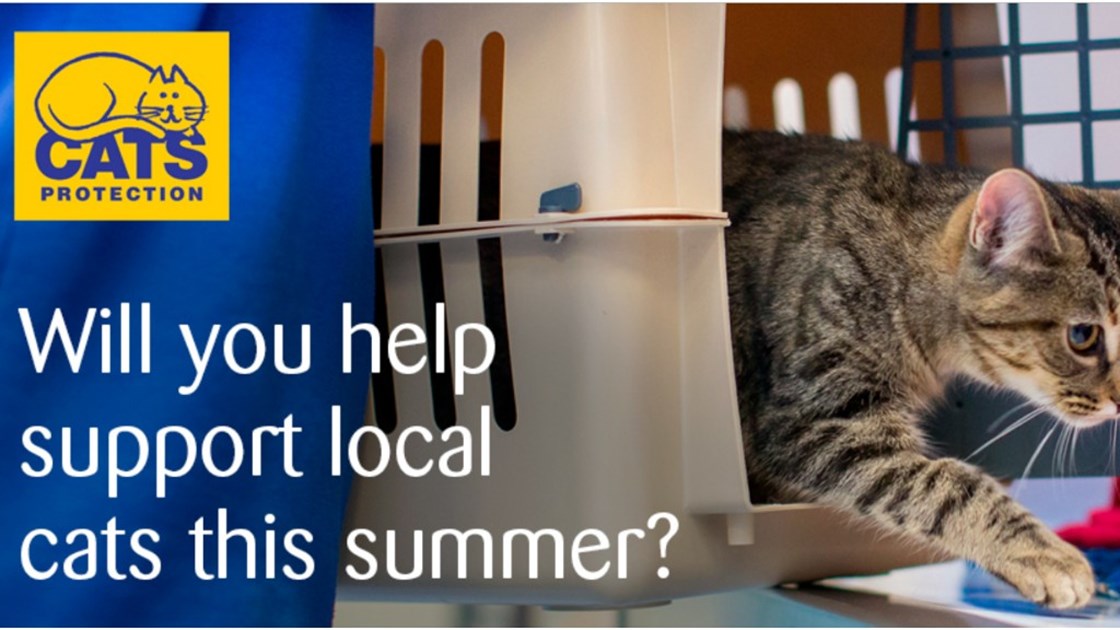 Southampton Cats Protection is fundraising for Cats Protection