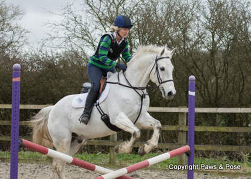 Elaine Redfern is fundraising for Hannah's Willberry Wonder Pony Charity