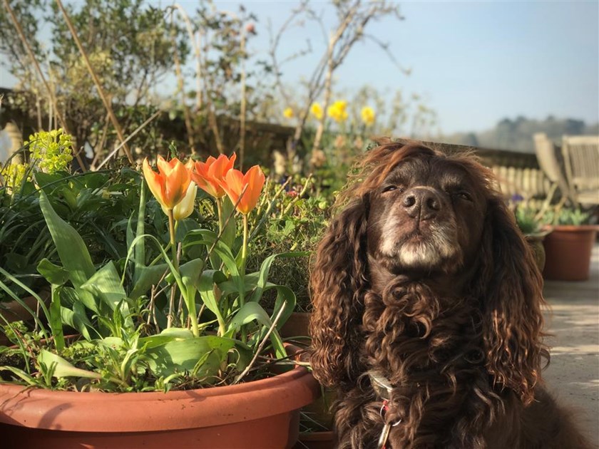 nick wickham is fundraising for Pancreatic Cancer UK