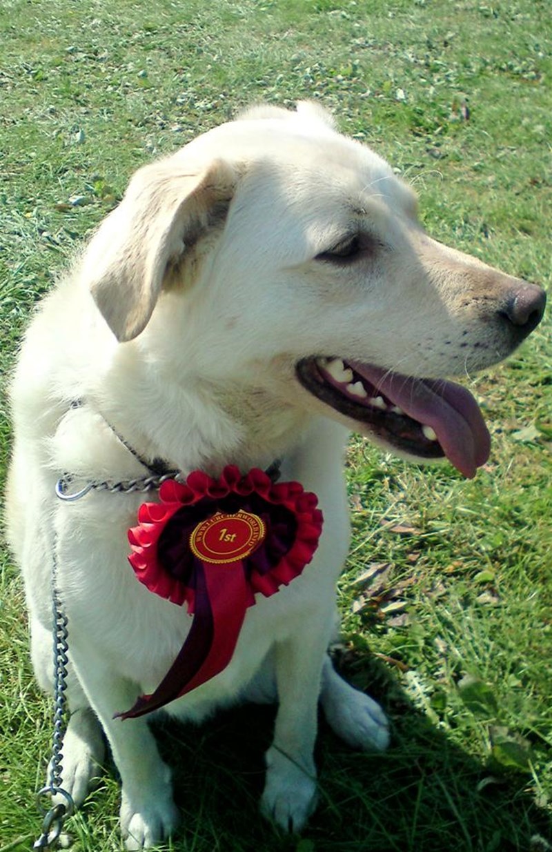 Kellie Mason is fundraising for Iain Rennie Hospice At Home