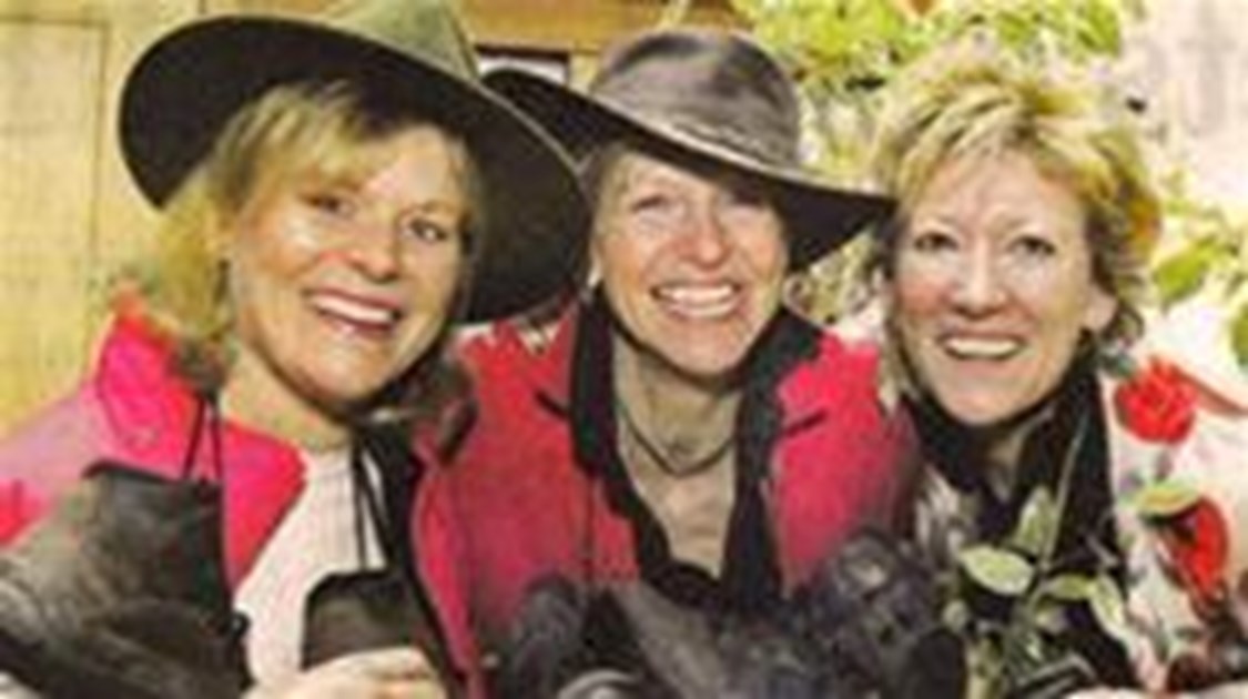 Anne Hatton is fundraising for Macmillan Cancer Support