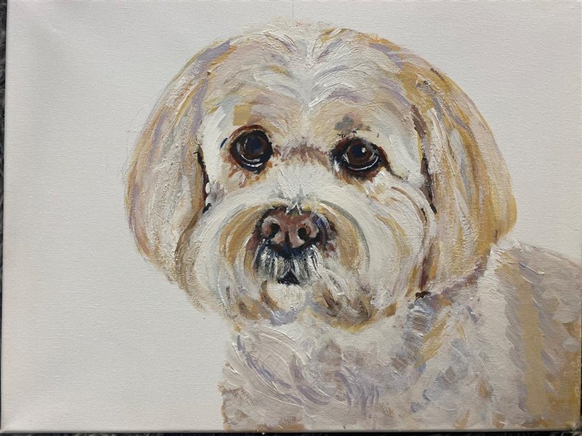 Michelle Bromell is fundraising for Ferne Animal Sanctuary