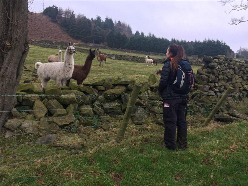 Abigail Mace is fundraising for The King's Trust