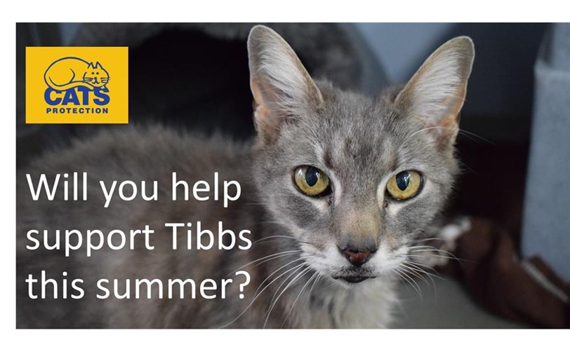 Cats Protection - Ferndown Homing Centre is fundraising for Cats Protection