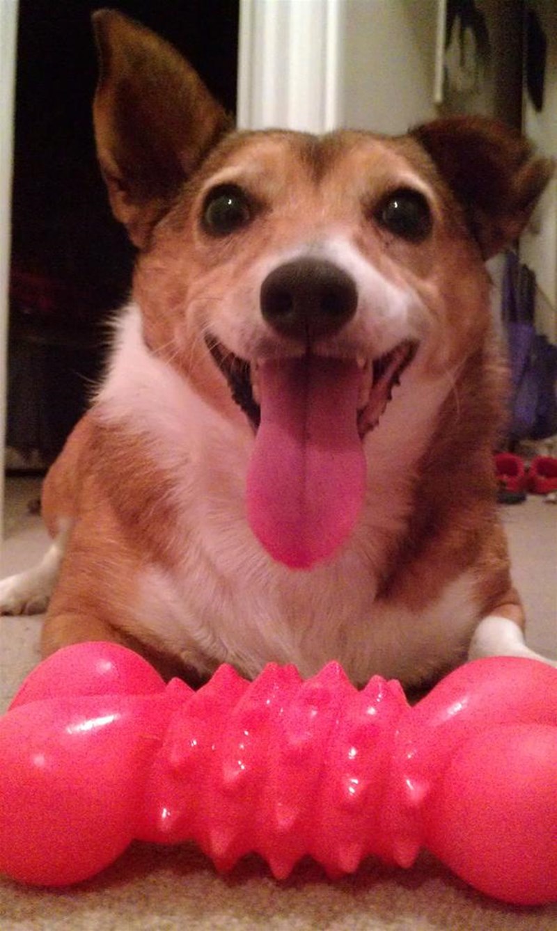 John Stynes is fundraising for Cancer Research UK