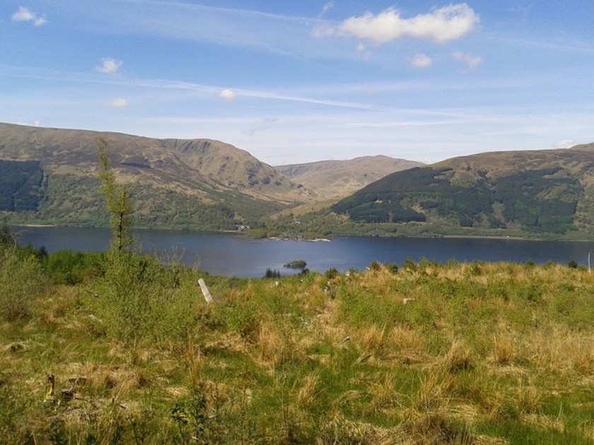 ashton quinn is fundraising for The James Bulger Memorial Trust.