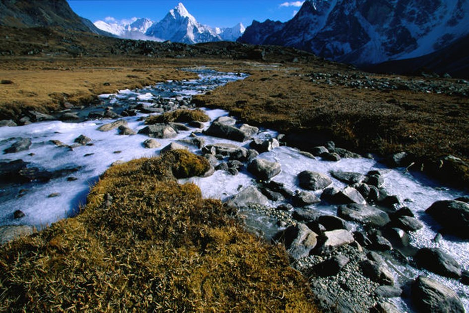 Les Martin is fundraising for Combat Stress