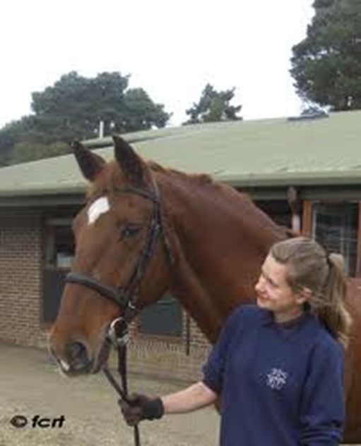Jenny Newman is fundraising for The Fortune Centre Of Riding Therapy