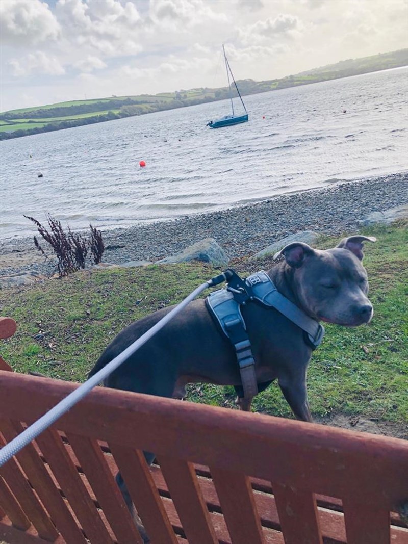 Gareth Rowlands is fundraising for Pancreatic Cancer UK