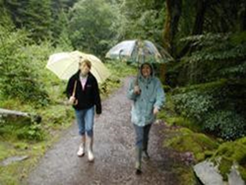 Sandra Maughan is fundraising for Cancer Research UK