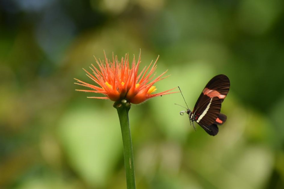 Mark Penwill is fundraising for The Princess Alexandra Hospital Charity