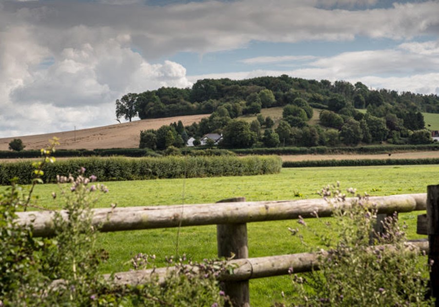 Jane Keating is fundraising for Sutton Walls Conservation Group