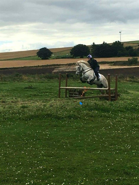Lisa Riddell is fundraising for Hannah's Willberry Wonder Pony Charity