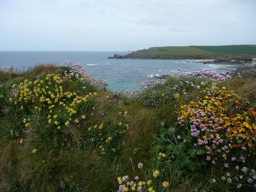 Helen Mylam is fundraising for South West Coast Path Association