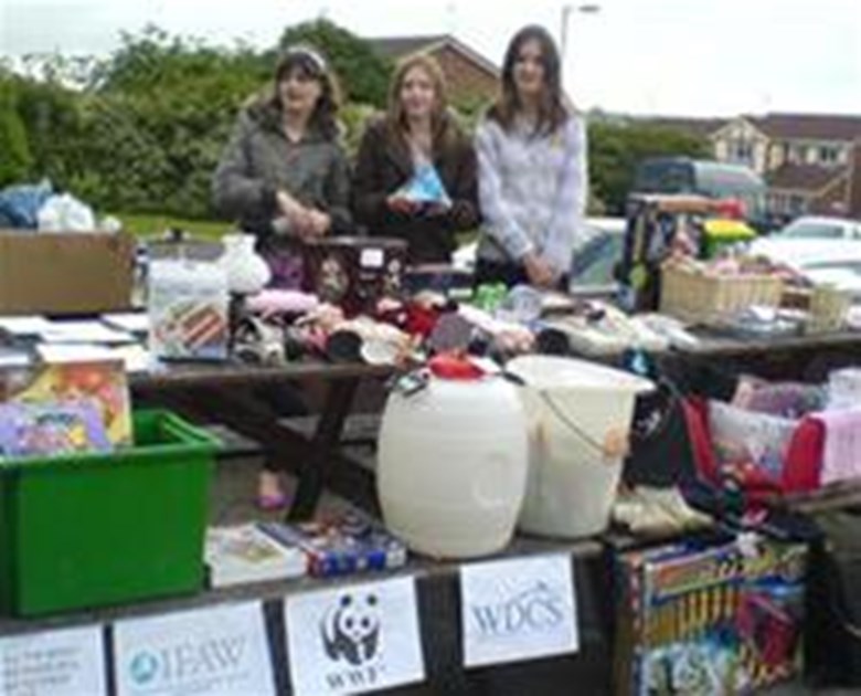 Hannah Maxfield is fundraising for Whale And Dolphin Conservation