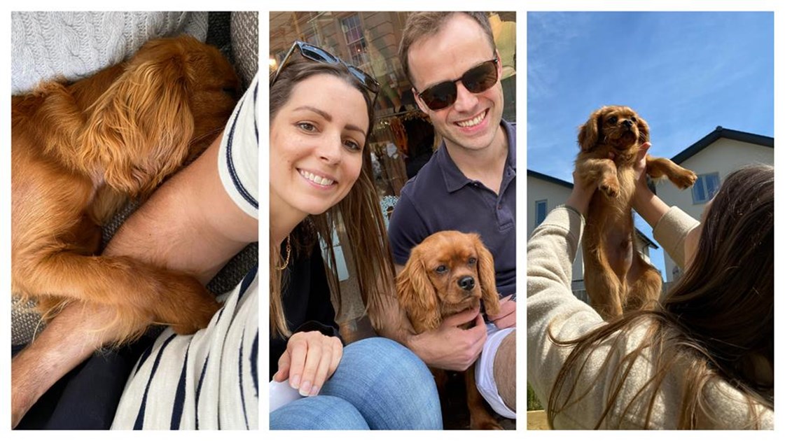 Joel Gregory is fundraising for Age UK