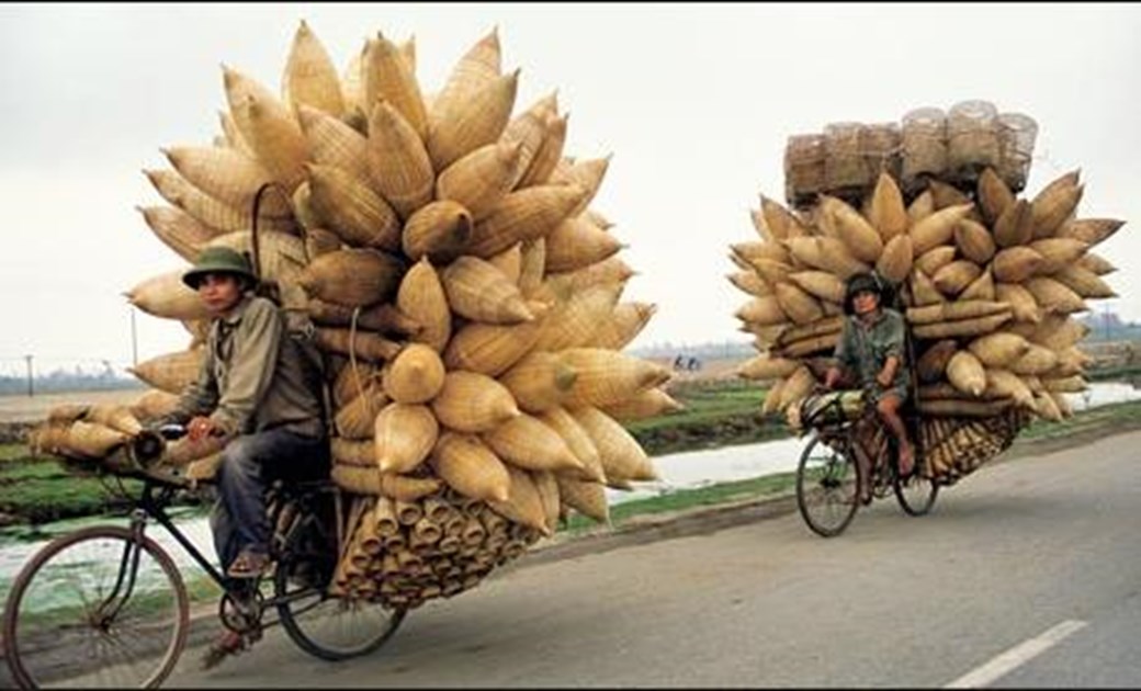 Rachel Ollerenshaw is fundraising for Molly Olly's Wishes