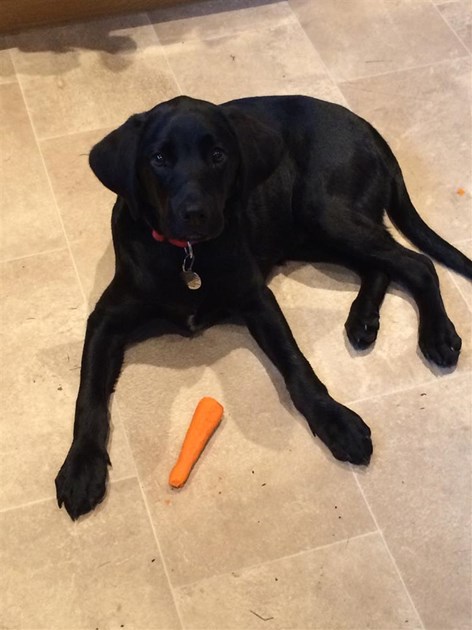 Claire Sommerville is fundraising for The Archie Foundation - Highland ...