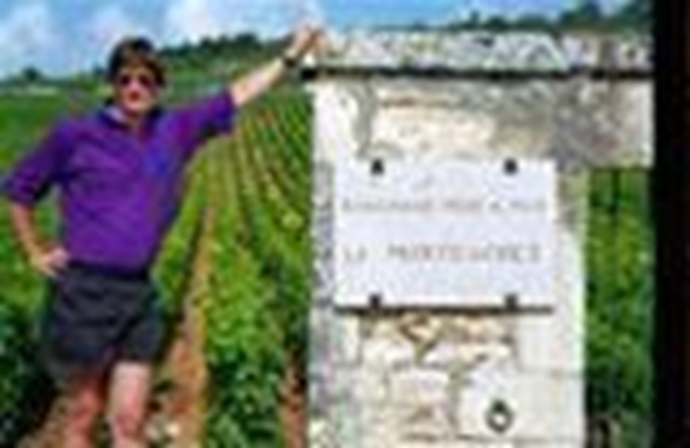 Amy Dyson is fundraising for Cancer Research UK