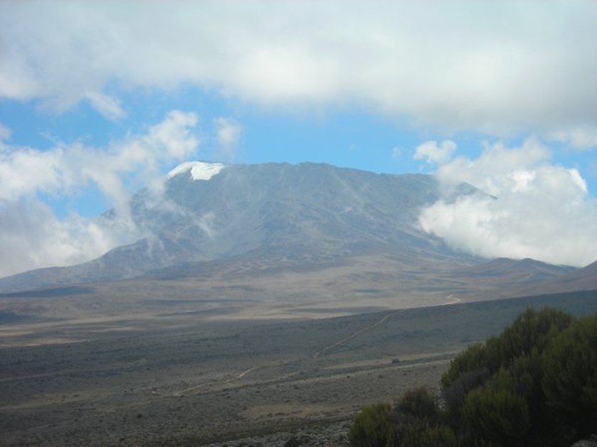 Andrew Stallard is fundraising for Scope