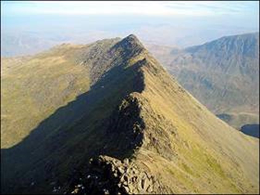 Rachel Dryden is fundraising for Prospect Hospice