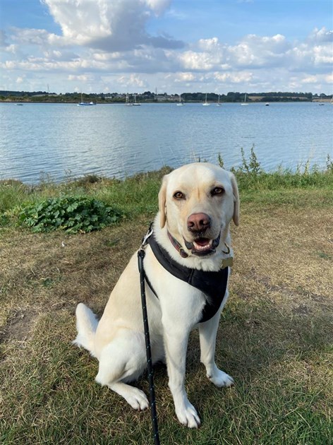 Wayne Linge is fundraising for Dementia UK