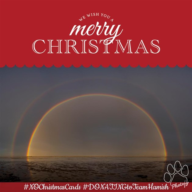 Dawn Cowie-Mcinnes is fundraising for #TeamHamish