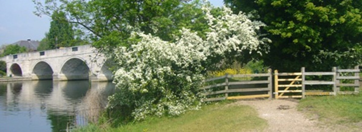 Ian Maidment is fundraising for Rotary Club of Walton on Thames