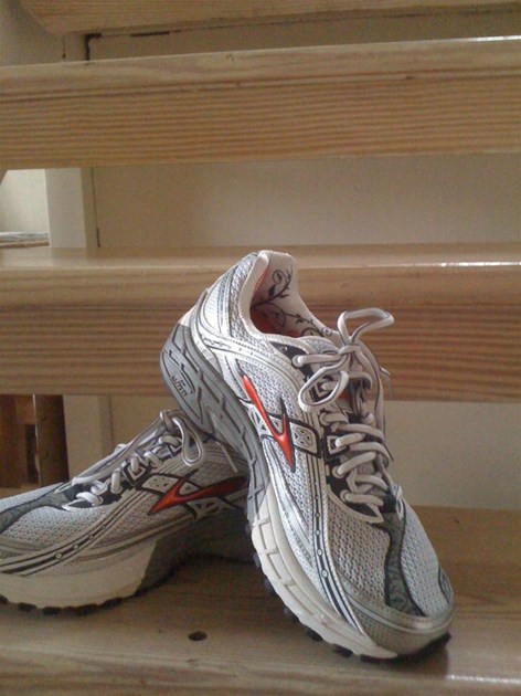 Susan Critchley is fundraising for Alzheimer's Society