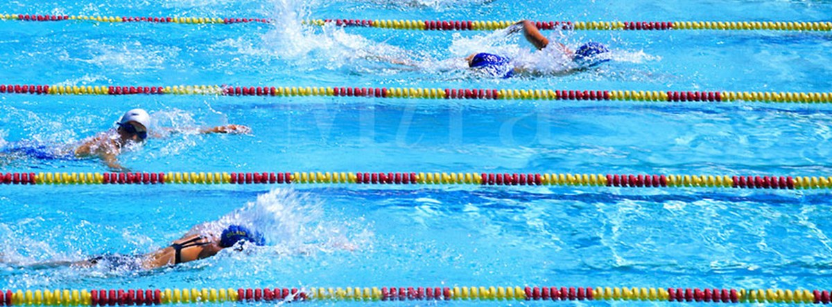 Simon Burge is fundraising for Minstead Trust