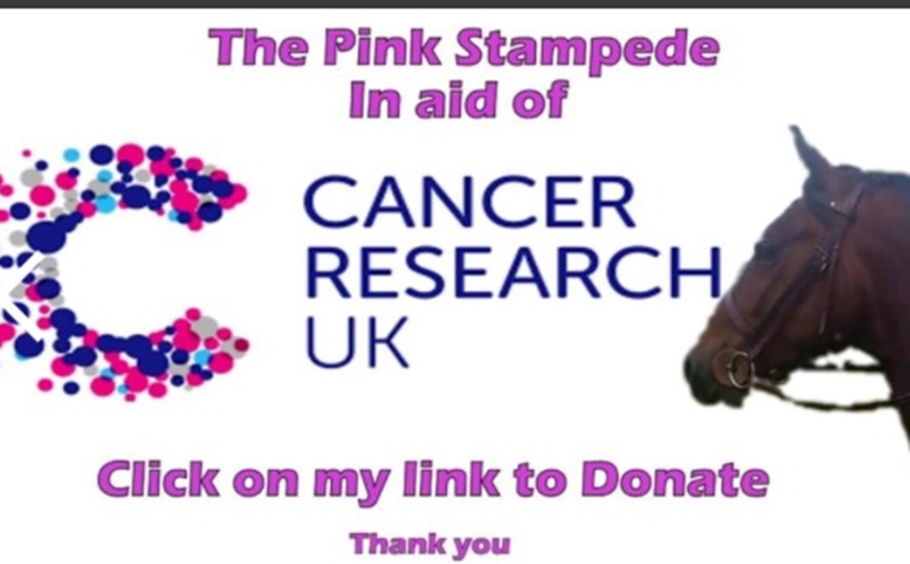 Debra Briggs is fundraising for Cancer Research UK
