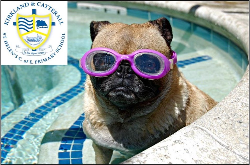 Kirkland Catterall is fundraising for Holibobs Childrens Cancer Charity