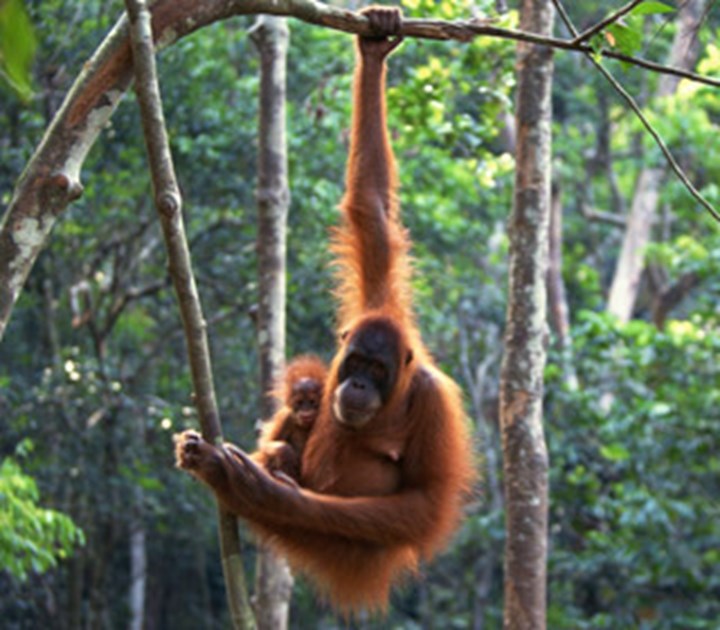 Andrew Dainty is fundraising for Marie Curie