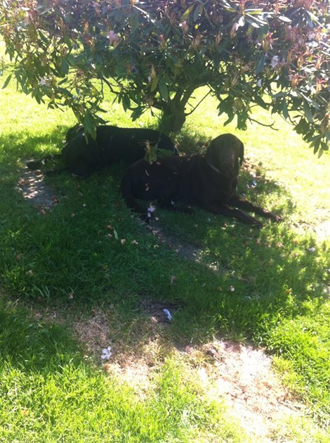 Andrew Wardley is fundraising for THE CHRISTIE CHARITY