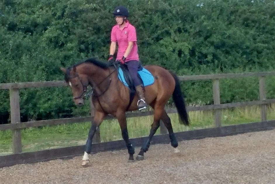 Cathryn Tinker is fundraising for Hannah's Willberry Wonder Pony Charity