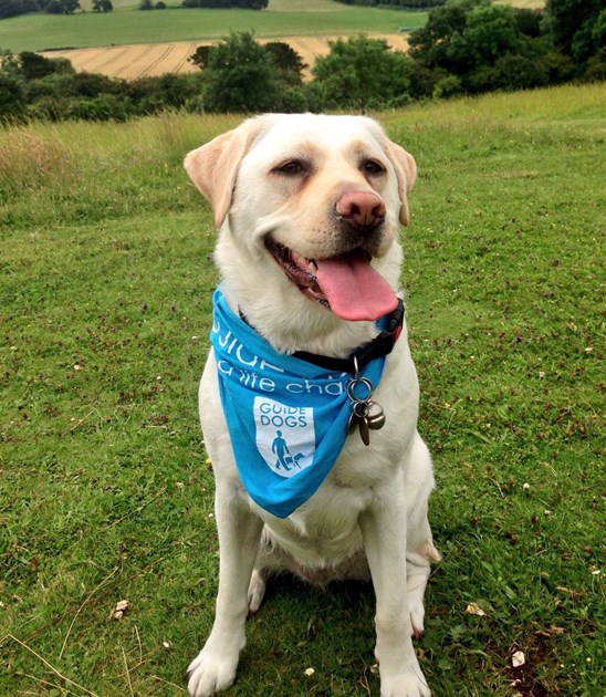 Bhaunesh Kika is fundraising for Guide Dogs