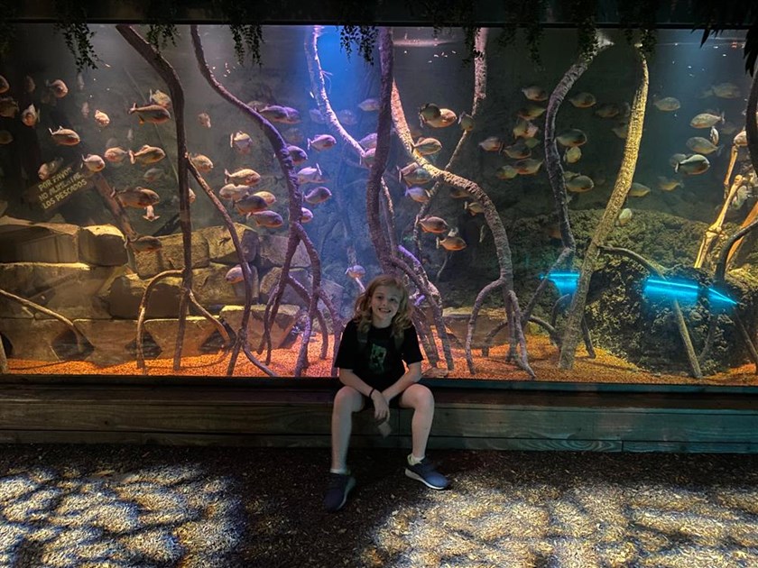 Charlie Webb is fundraising for Cancer Research UK