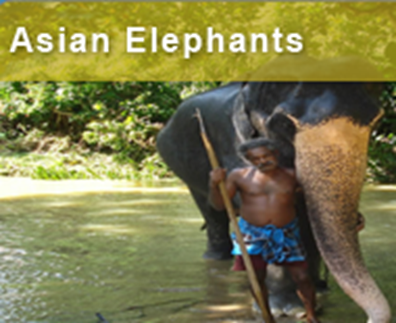 Ed Bentham is fundraising for AWF