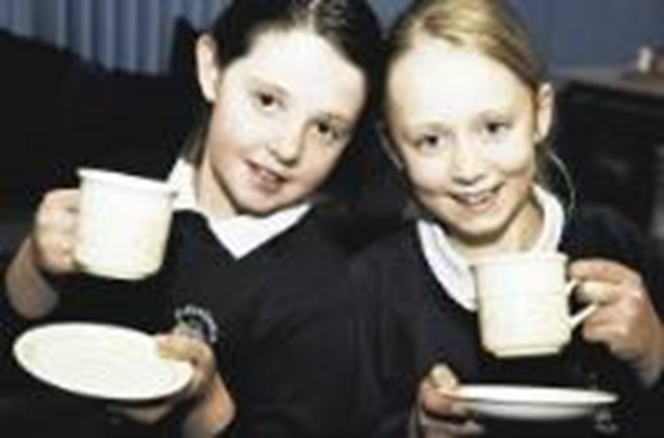 Annette Phillips is fundraising for The British Red Cross Society